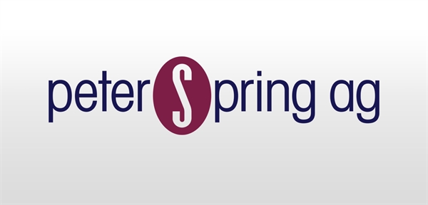 Peter Spring AG | Malerei und Gipserei Thun und Bern